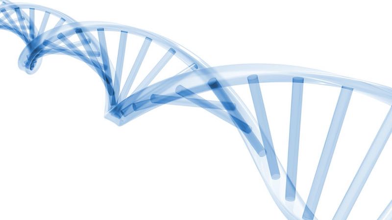 4basebio announces plans to spin-off DNA business