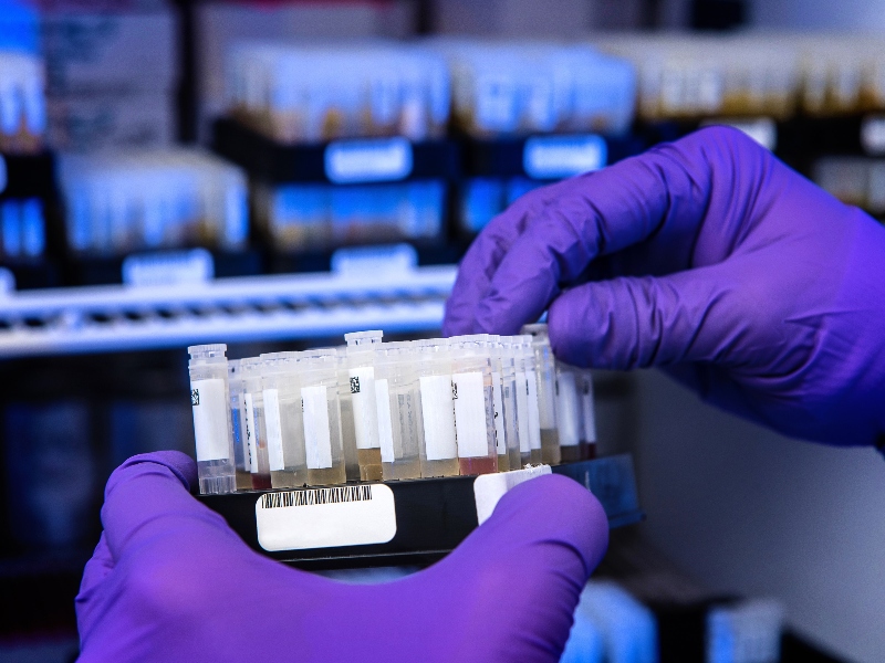 Abzena expands facilities to support antibody discovery