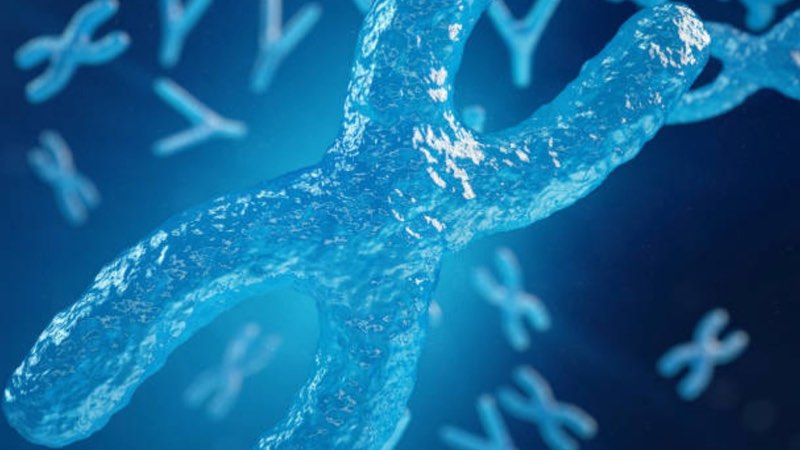 Axovant Gene Therapies chooses Yposkesi for viral vector production