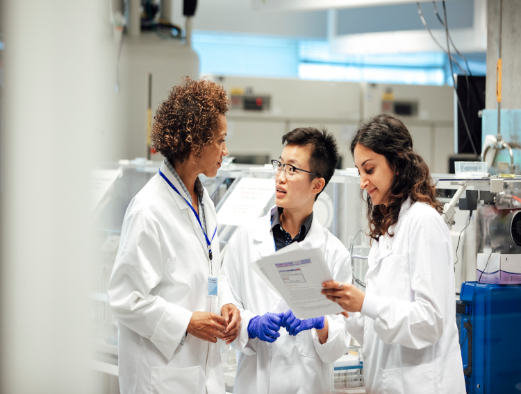 Argenta to develop drug candidates for Janssen