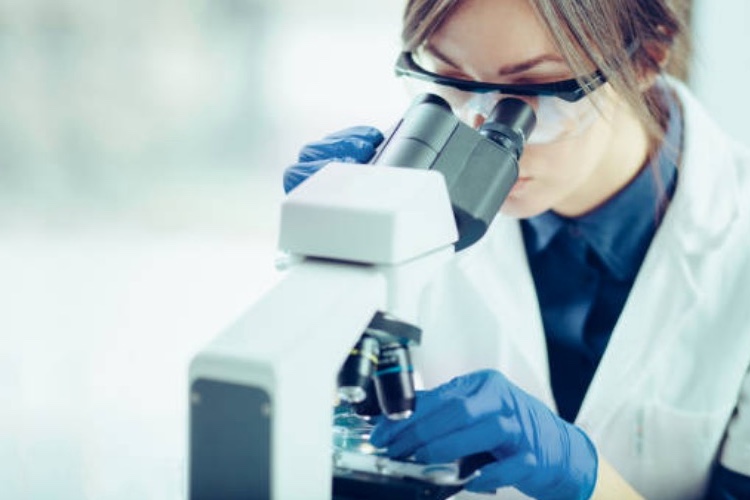 Crown Bioscience enhances CAR-T cell therapy with bioluminescent imaging