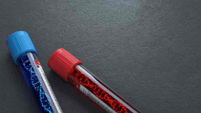 ElevateBio signs 10-year cell and gene alliance with Massachusetts hospital