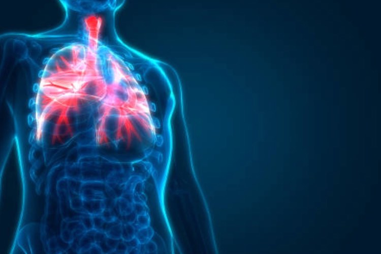 Lilly completes Avid acquisition