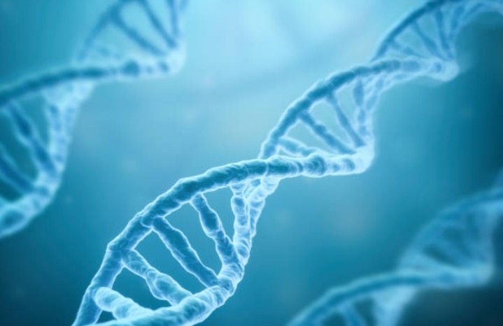 Helix Biopharma signs binding letter of intent for CAR-T development