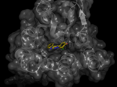 Heptares and leadXpro to collaborate on GPCR drug discovery