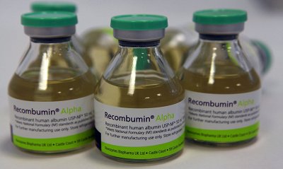 Novozymes to supply Recombumin for diabetes drug