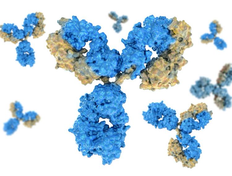 Galapagos receives €4m in milestones from Servier