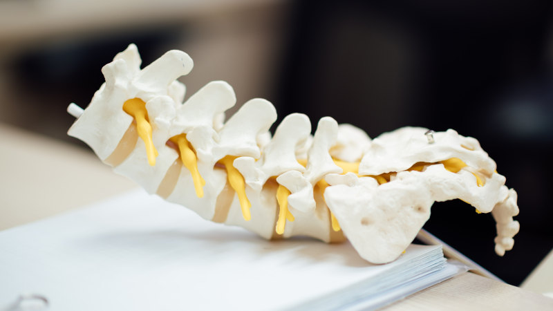 Spinal stem cell treatment demonstrated safe and tolerable