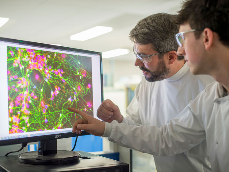 Interpol launches pharma crime unit