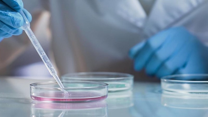 Tissue Regenix plans tissue engineering expansion in Texas