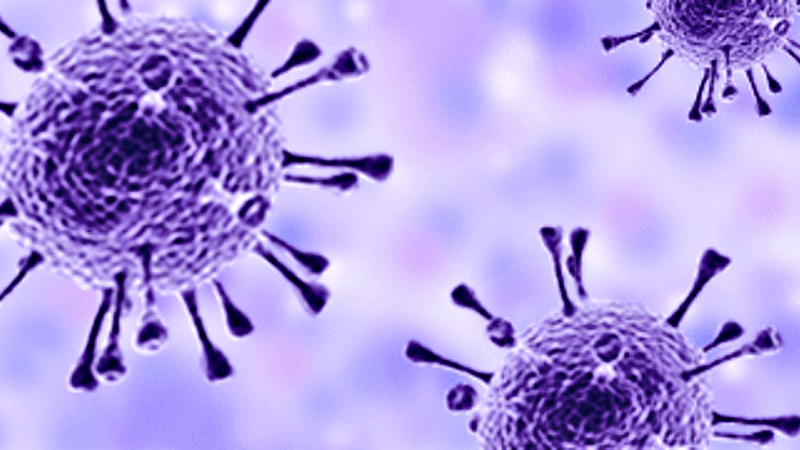 US gene therapy CDMO enters virus manufacturing partnership